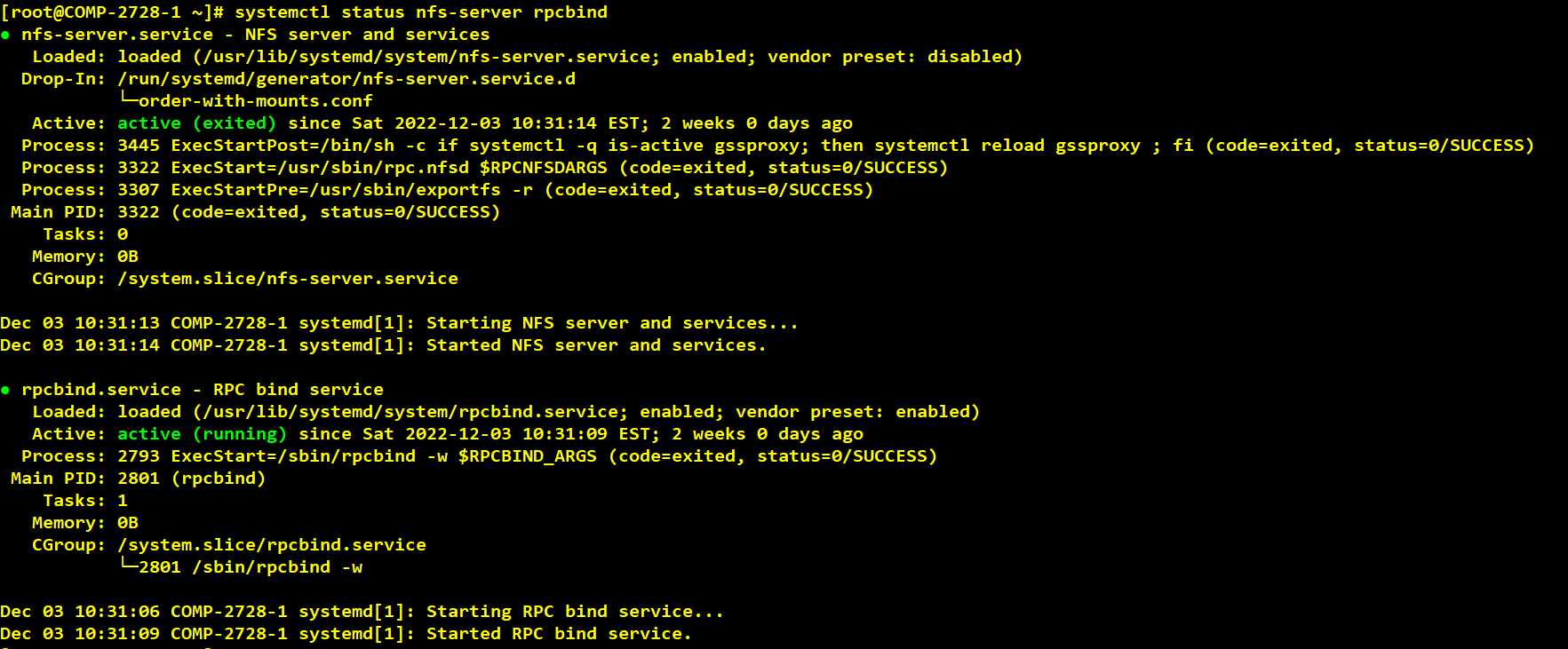 Docker Container With VersionVault View-Extended Access